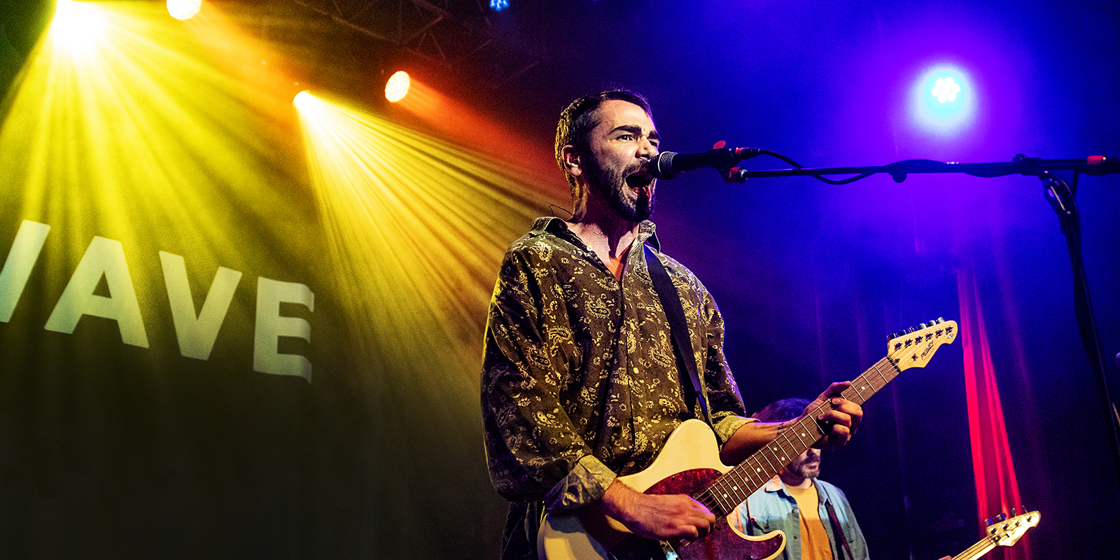 Microwave, Oso Oso & Mothé at Gothic Denver - Photos & Review